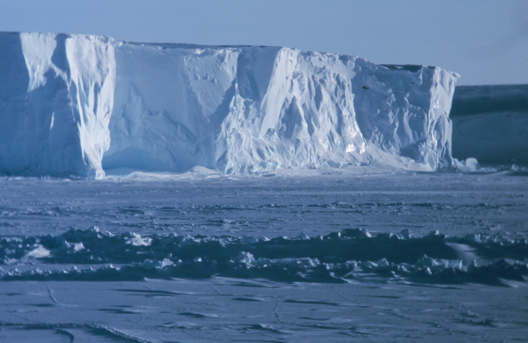 Antarctic ice shelf disintegration triggered by sea ice loss and ocean ...