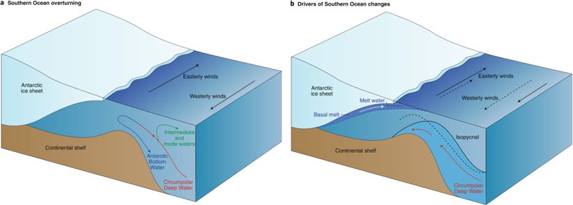 Increasing poleward intrusion of the Circumpolar Deep Water and its ...