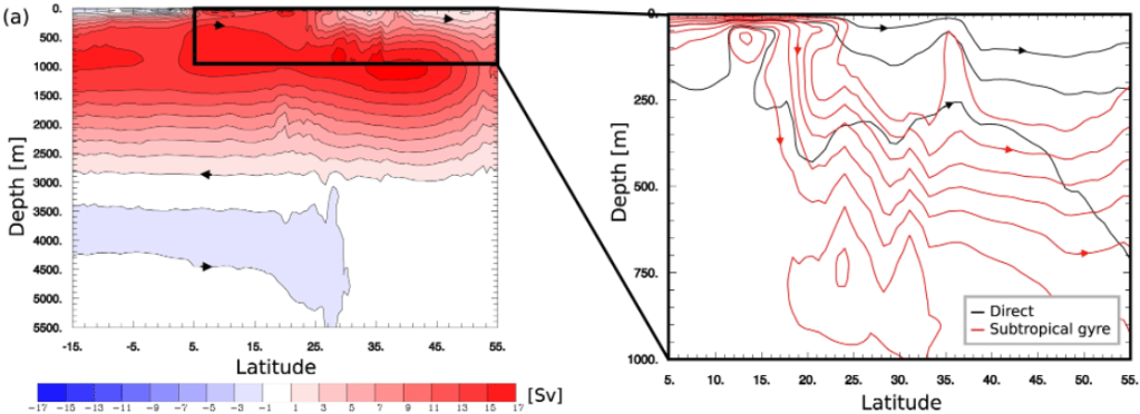 An overlooked role of the subtropical gyre circulation in regulating ...