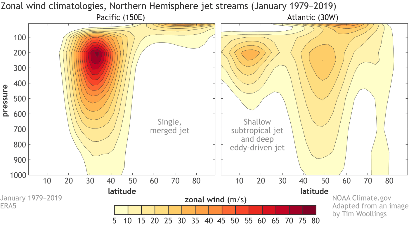 Why is it hard to identify the subpolar and subtropical jets from zonal ...