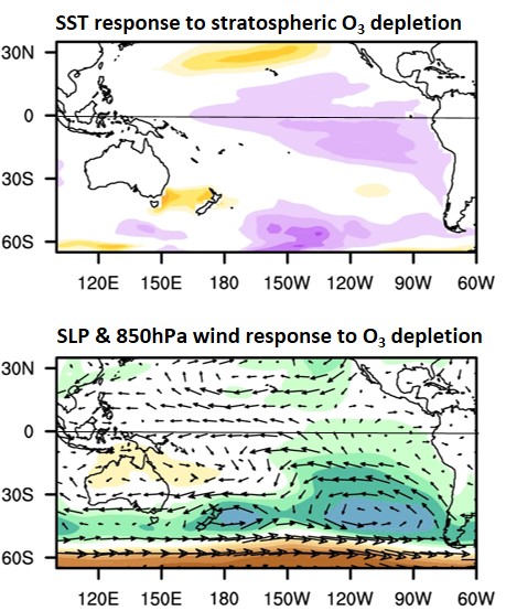 Human-induced ozone depletion has acted to enhance the La Niña-like SST ...