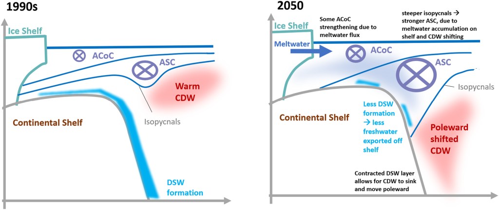 Future strengthening of the Antarctic Slope Current and its potential ...