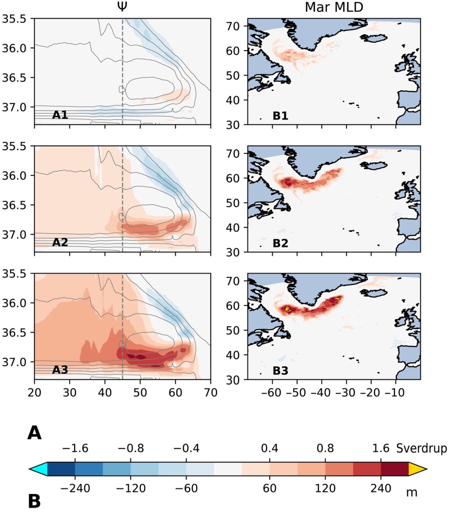 The Tail Wags the Dog: How the ‘Quiet’ Labrador Sea Sets the Rhythm for ...